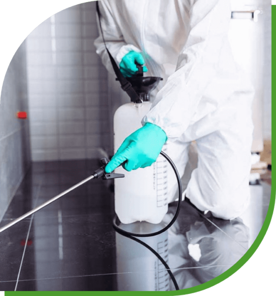 Servicios de control de plagas para hogares | Fumigaciones El Poblado